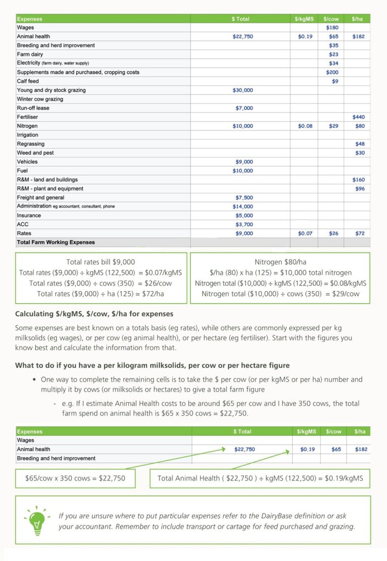 22+ Free Simple Farm Cash Flow Budget Templates - PDF, MS Excel ...