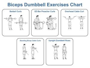 15+ Dumbbell Exercises Chart Printable Workout Poster (PDF) » American ...