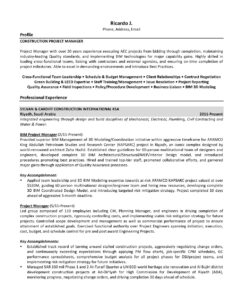 22+ Free Project Manager Resume Examples & Templates (PDF, Word ...
