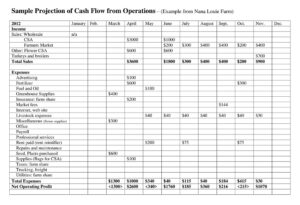 22+ Free Simple Farm Cash Flow Budget Templates - PDF, MS Excel ...