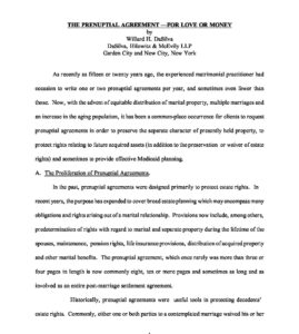35+ Free Sample Prenuptial Agreement Templates (PDF) » American Templates
