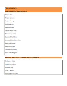 20+ Free Project Charter Templates (DOC, PDF) » American Templates